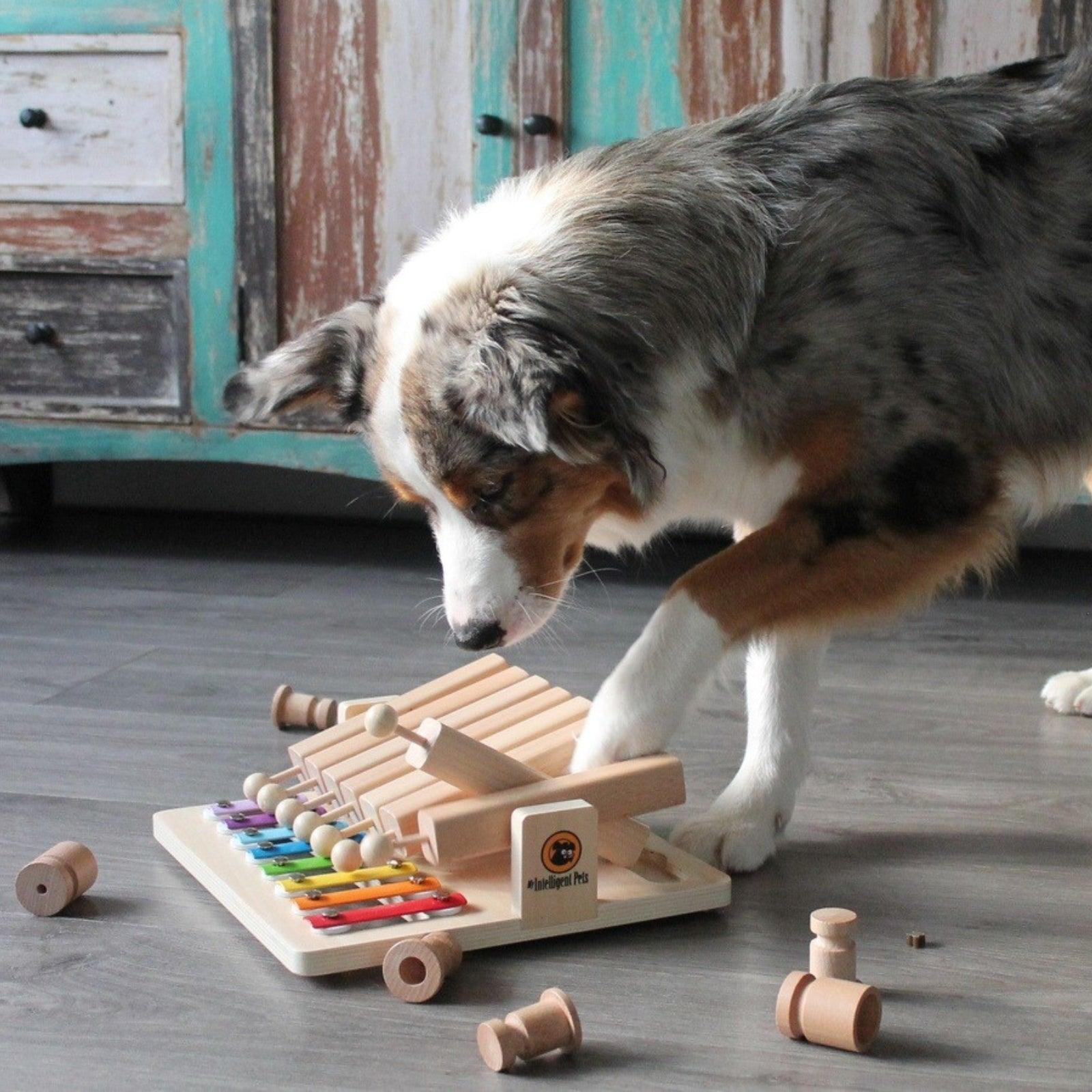 Hondenpuzzels – Dogzoo
